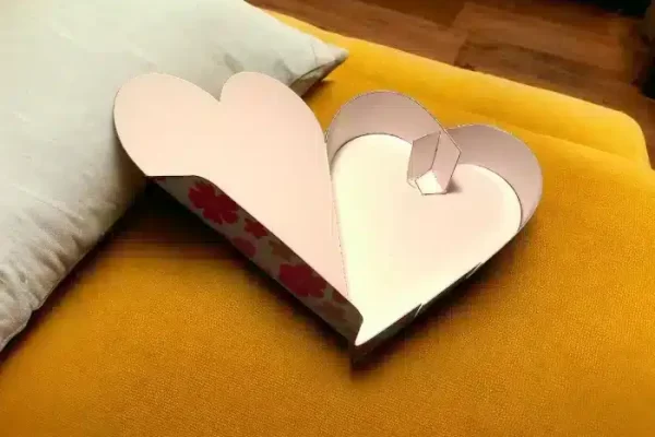 Custom Printed Heart Shaped Packaging Boxes